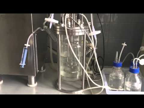 Stirred Tank Bioreactors - Simple Stirred Tank Bioreactor Latest Price ...
