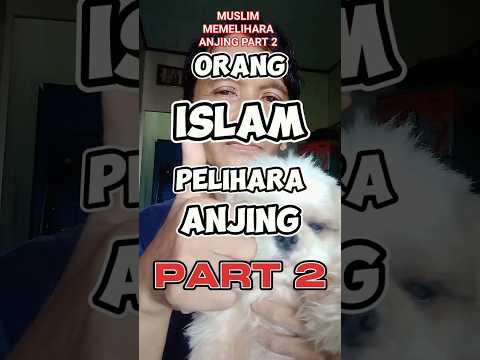 MUSLIM MEMELIHARA ANJING PART 2 #hewanpeliharaan #muslim #peliharaanjing #duniahewan #shorts #viral