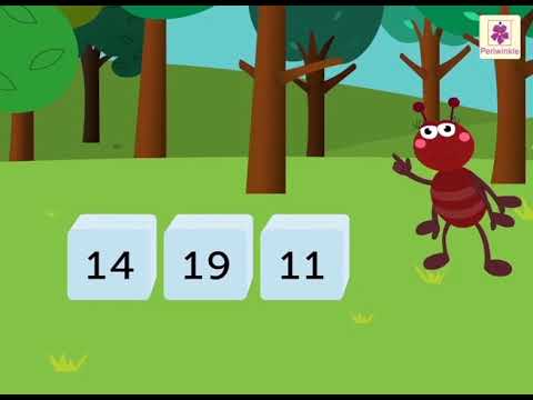 Comparing and Ordering - Ascending Order | Mathematics Grade 1 | Periwinkle