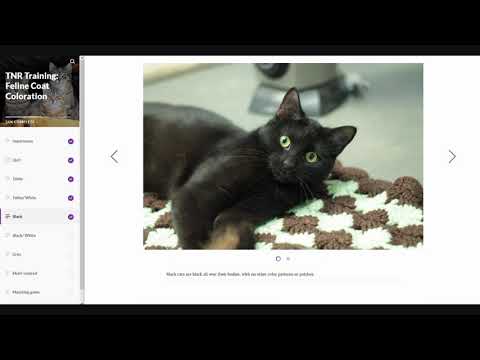 ID Case Study: Articulate Rise