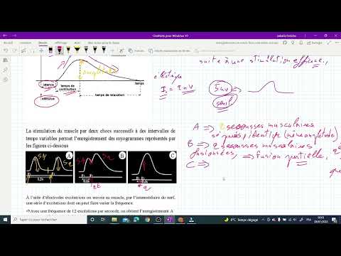 secousse musculaire et les myogrammes ( révision pour le contrôle )