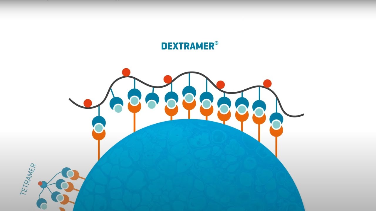 T-cell Immune Monitoring with Immudex' Technology