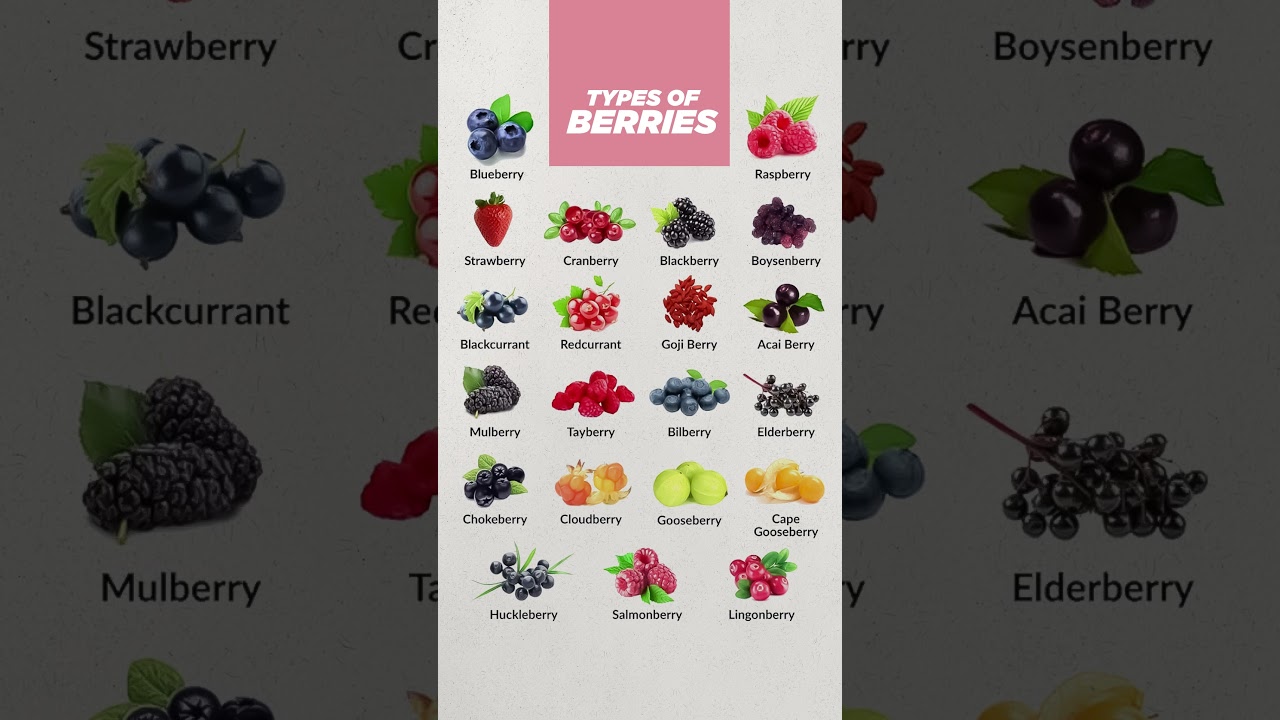 21 Different Types of ‘Berries’ to Eat