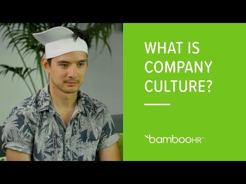 What is Company Culture? - How to build a company people love, doing work that matters | BambooHR