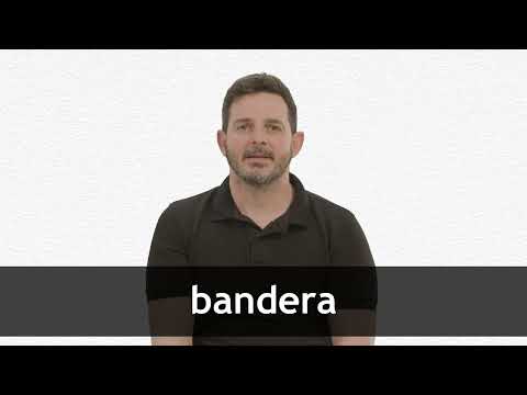 English Translation of “BANDERA” | Collins Spanish-English Dictionary
