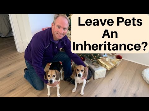 Pet Trust For Max And Chloe?