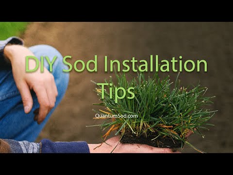 DIY Sod Installation Tips | www.QuantumSod.com – Quantum Sod | Tulsa ...