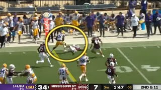 Media Gallery by Dandy Don - LSUU Sports & More