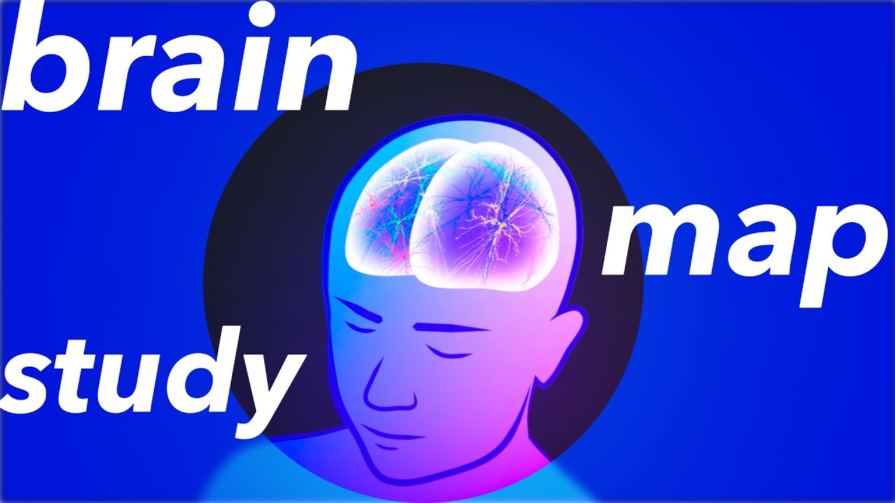 The Brain Map Study