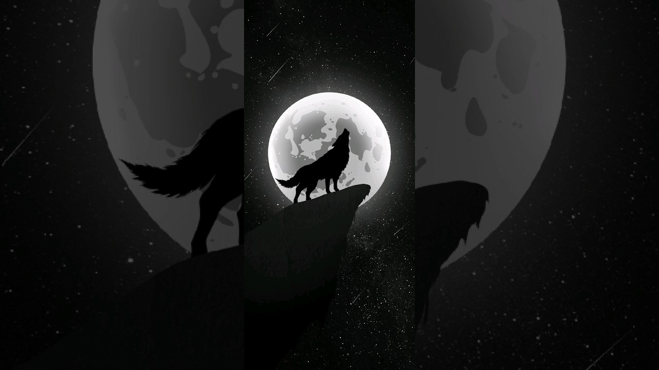 Wild Wolf wallpaper, #wolf #howling