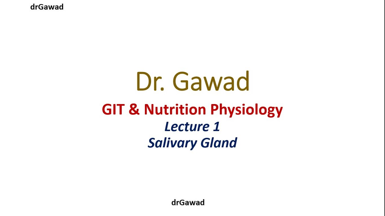 Lecture 1 - Salivary Gland