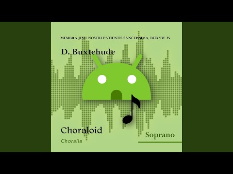 Membra Jesu nostri patientis sanctissima, BuxVW 75: Surge amica mea (Soprano I - Emphasised...