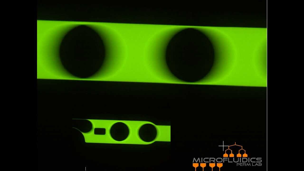Two flows and bubbles (Microfluidic)