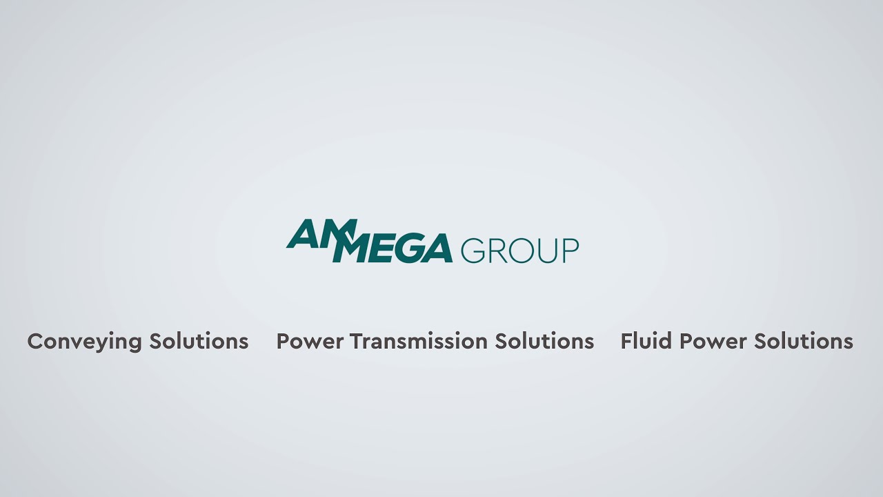 Ammega Group Company Video