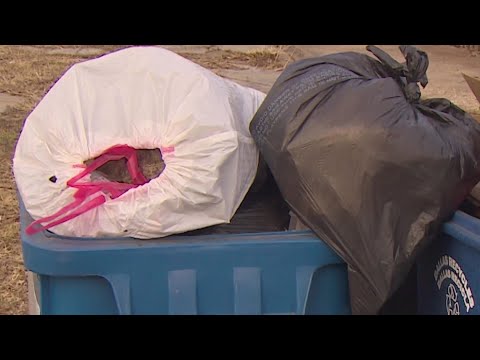 Dallas sanitation director resigns, interim director appointed after trash pickup issues