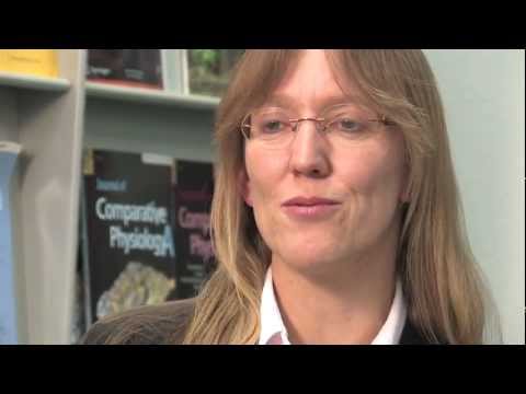 The Springer Story. Why XML is the preferred format, by Sabine Schwarz, Publishing Editor