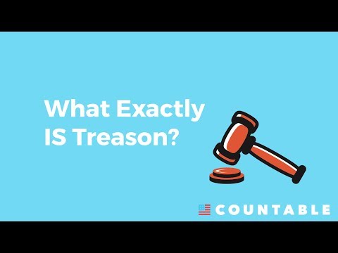 Our Definition of Treason Needs Updating | Cats Working
