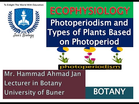 Photoperiodism and types of plants based on photoperiod #botany #fscbiology #viralvideo #physiology