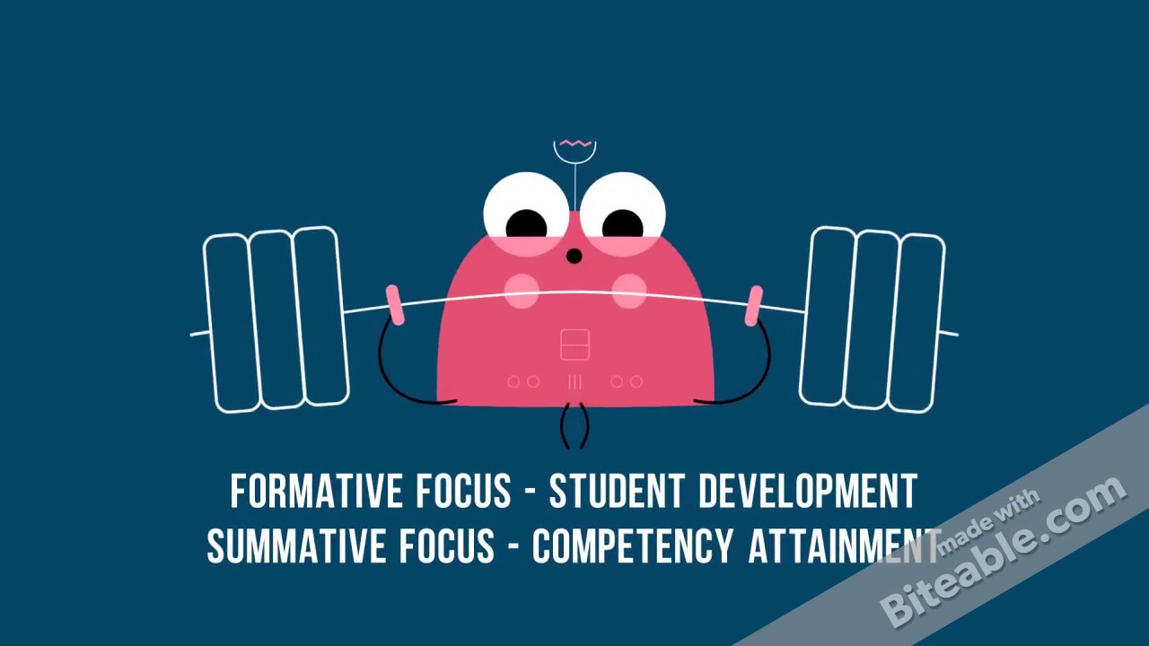 NUR528 Clinical Performance