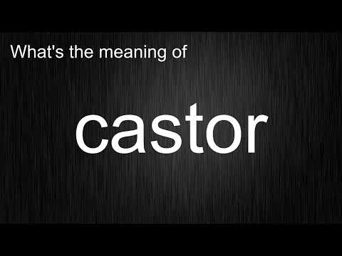 What's the meaning of "castor", How to pronounce castor?
