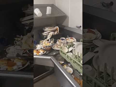One of the world's fastest dishwasher
