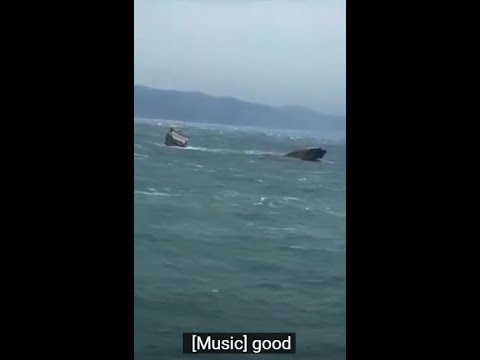Steam Community :: Video :: M/V Arvin Shot On Iphone