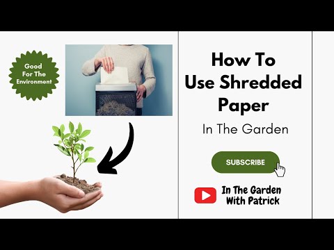 How To Use Shredded Paper In The Garden