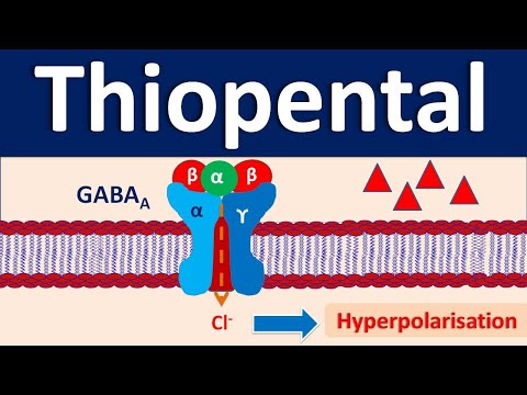 Thiopental Sodium Injections - Sodium Thiopental Latest Price ...