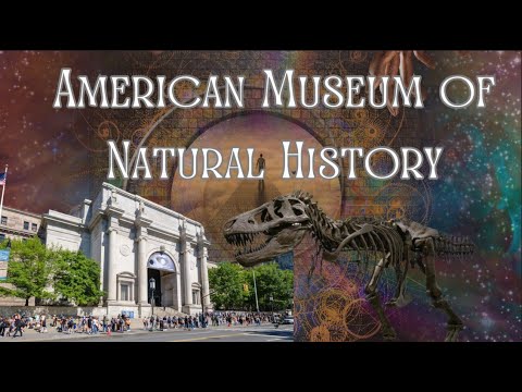 INCREDIBLE American Museum of Natural History NYC Tour 2025 | Full Walkthrough | New York City 🗽