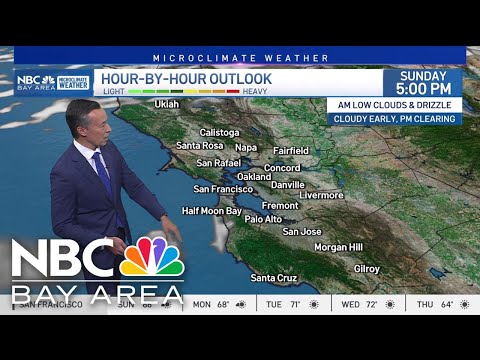 Forecast: Mild for Father's Day