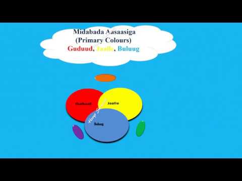 Somali colours for children, simplified version