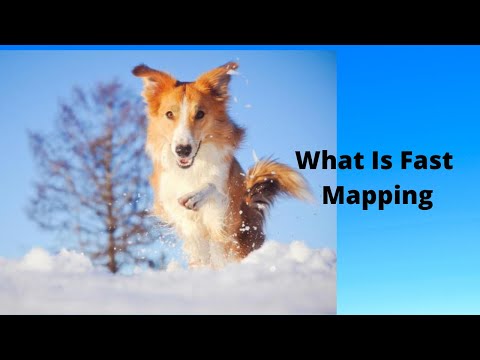 What Is Fast Mapping