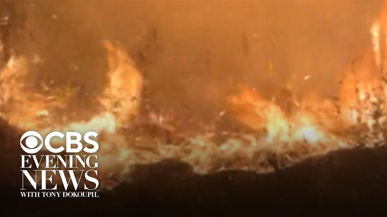 Florida and Georgia wildfires scorch acres