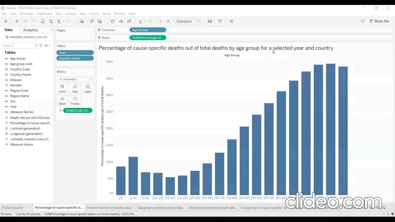 DATA VISUALIZATION FINAL ASSIGNMENT GROUP 1