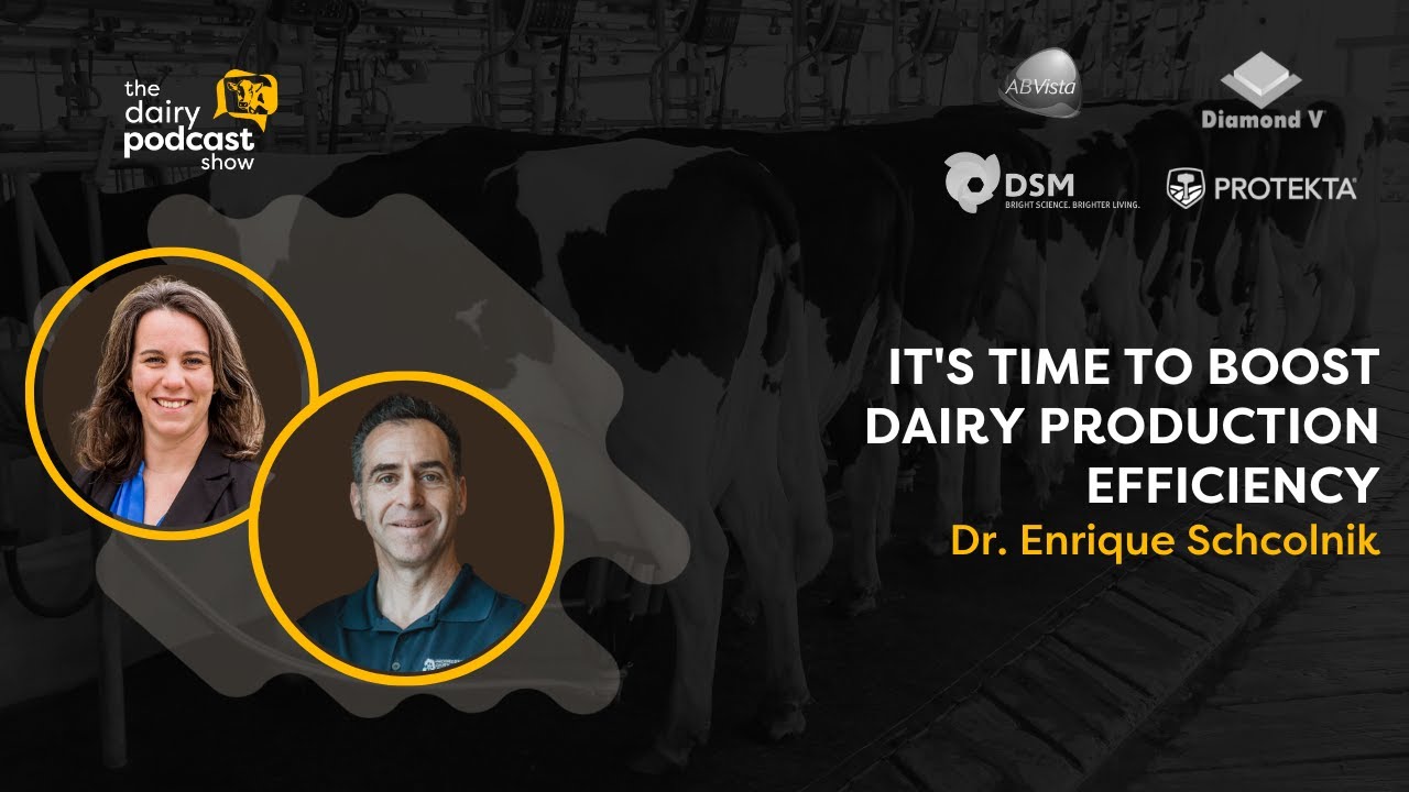 Dr. Enrique Schcolnik: Boosting Dairy Production Efficiency | Ep. 03