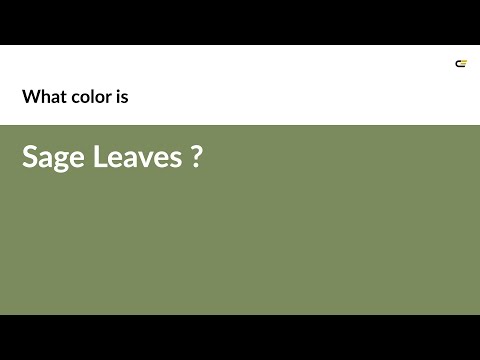 Sage Leaves color #7b8b5d hex color - Green color - Cool color 7b8b5d