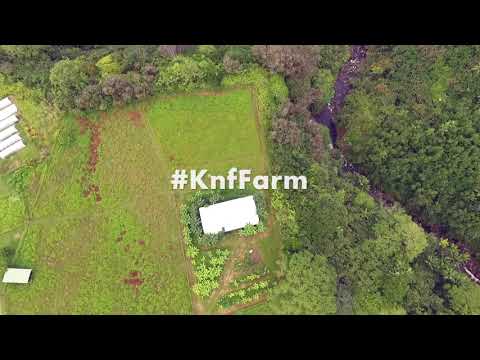 KNF Farm Livestock Integration Overview – The KNF Farm