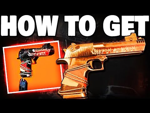 Division 2 All Exotics (Updated) - And How To Get Them | GAMERS DECIDE