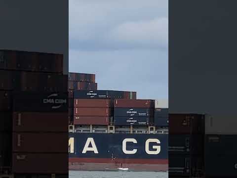 container ship "CMA CGM VIRGINIA"🇲🇹 4/25/25