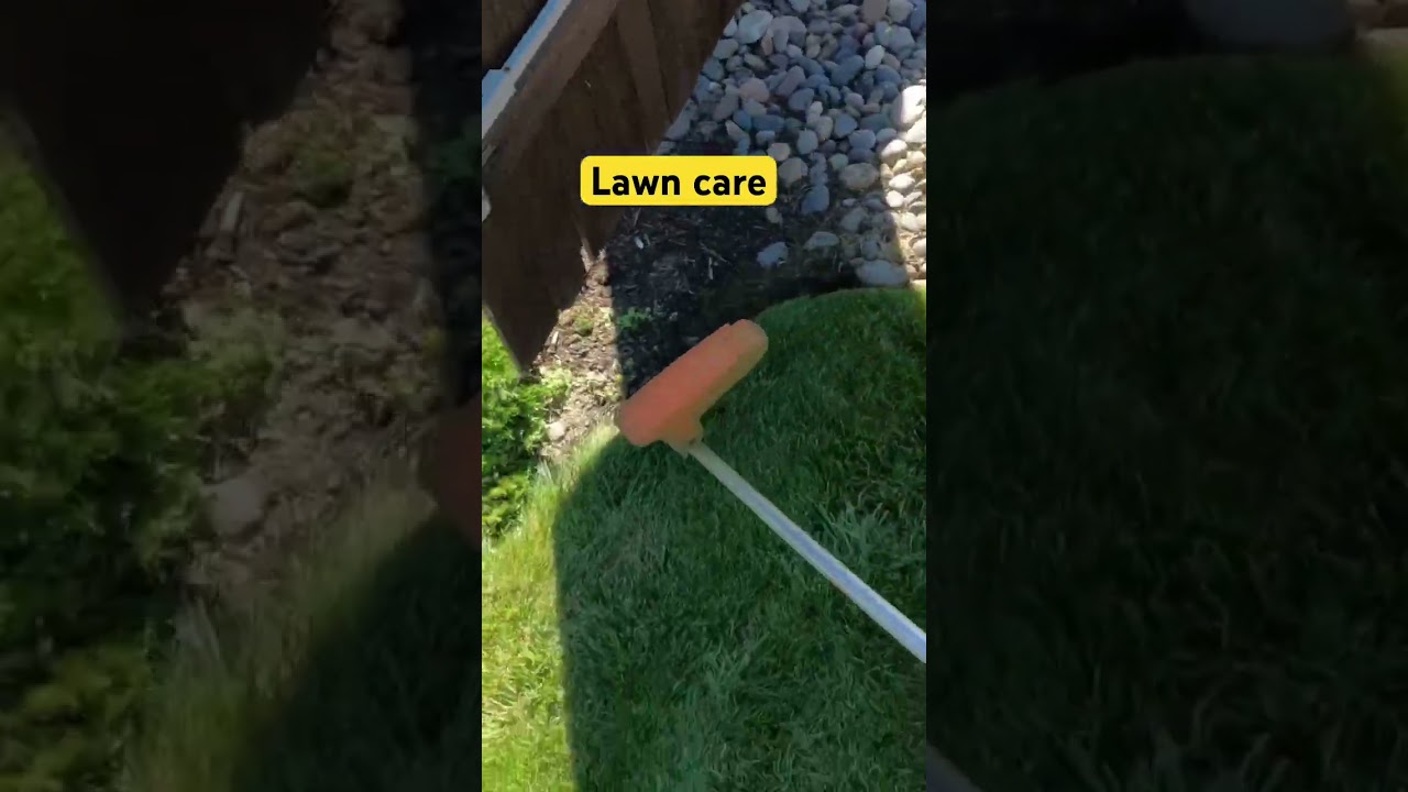 Lawn care services #video #landscape #irrigation