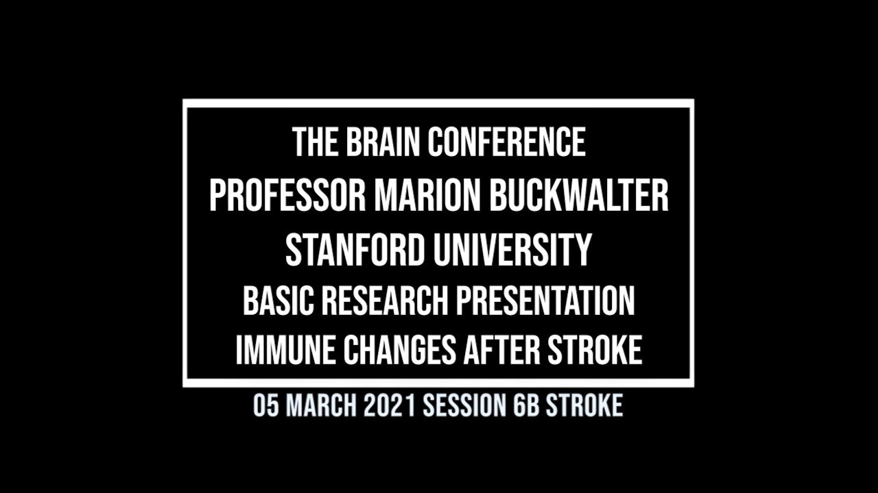 The Brain Conference 2021: Basic Research presentation: Marion Buckwalter