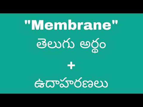 Membrane meaning in telugu with examples | Membrane తెలుగు లో అర్థం @Meaning in Telugu
