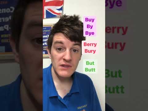 Buy/by/bye, berry/bury, but/butt [same pronunciation, different meaning]