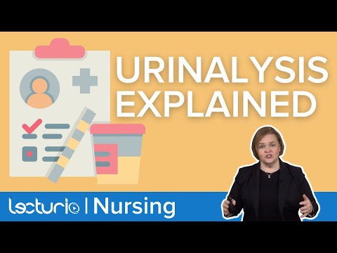 What A Urinalysis Can Tell You: Visual & Chemical Exam | Lecturio Nursing