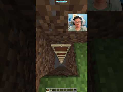 Minecraft Fake Ladder (Sigma Boy)