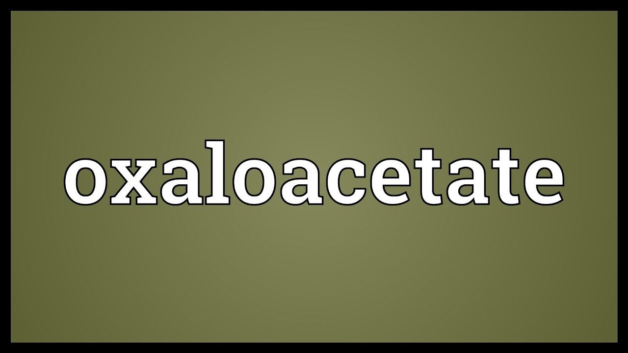 Oxaloacetate Meaning