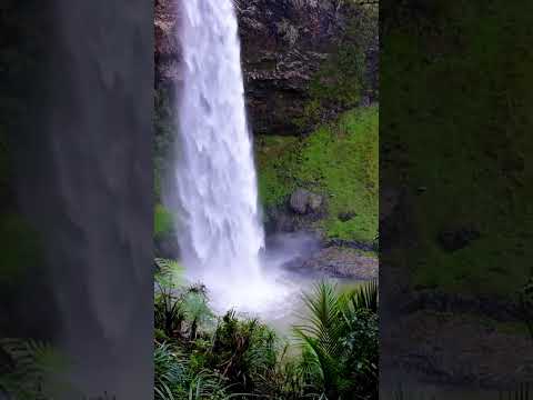 1 Hour Ambient Journey Through New Zealand