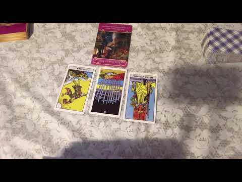 Daily Love reading for October 8 2018 for all zodiac signs for singles and couples