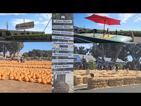 G & M Farms | Pumpkin Patch in Livermore, CA