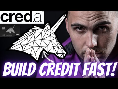 Build Credit From Scratch with Cred.ai